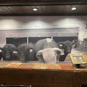 IOWA CHOP HOUSE - Updated December 2025 - 253 Photos & 335 Reviews ...