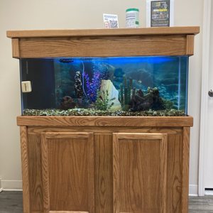 IMAN NASERI, MD FACS - NORTH FLORIDA SINUS CENTER - Updated October 2025 - 6817 Southpoint Pkwy ...