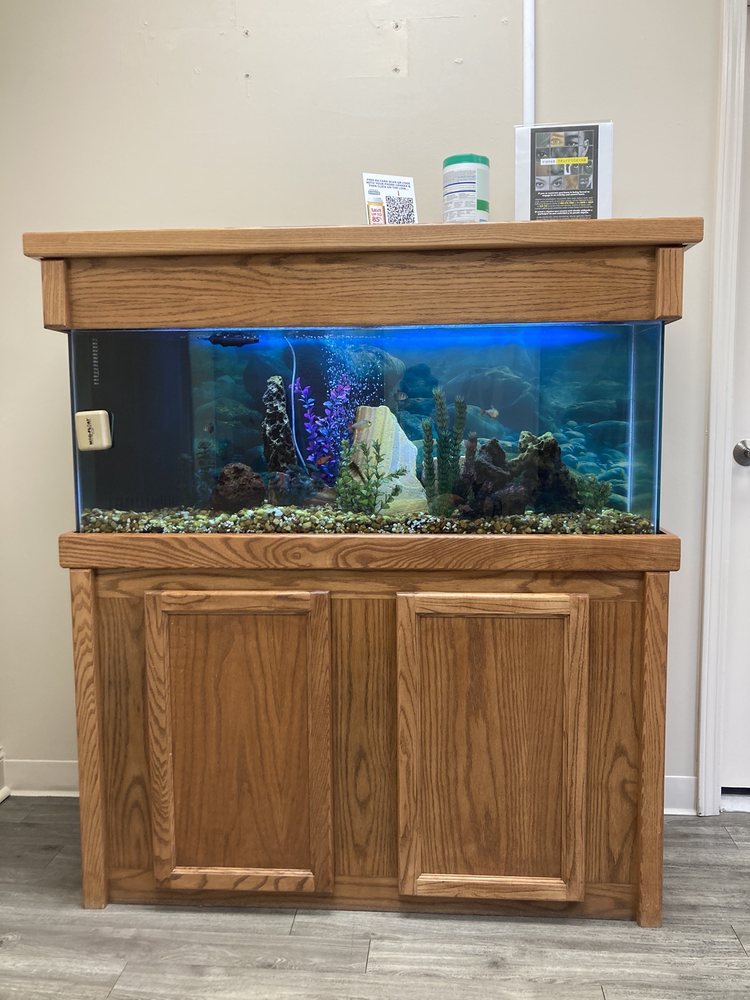 ALEXANDER A FARAG, MD FARS - Updated July 2025 - 1409 Kingsley Ave ...