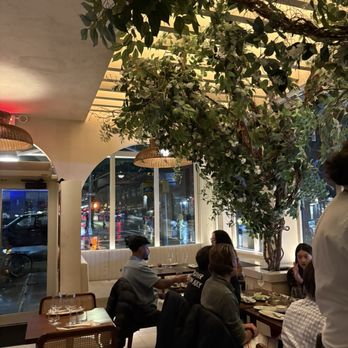 FRENA - Updated April 2025 - 278 Photos & 83 Reviews - 773 10th Ave ...