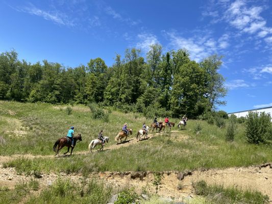 VICTORY STABLES AND BIBLE CHAPEL - 1135 Camp Nancy Rd, Apollo ...