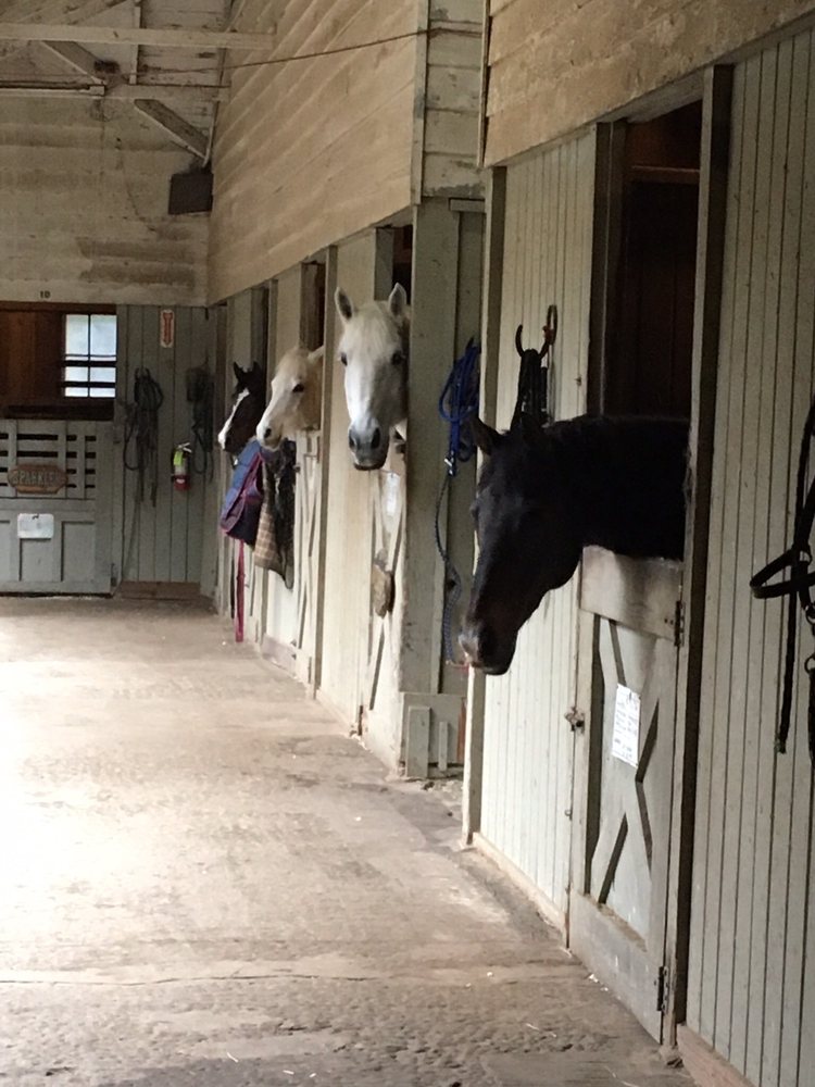 PIEDMONT STABLES - Updated October 2024 - 6525 Redwood Rd, Oakland ...