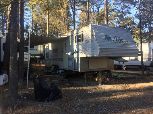 SHADY PINES RV PARK - Updated August 2025 - 12 Photos - 1708 Gum ...