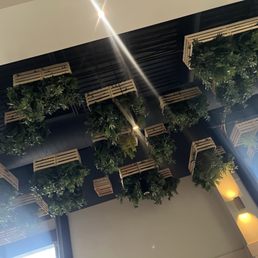 SCUTARI - Updated July 2025 - 42 Photos & 32 Reviews - 2055 Washington ...