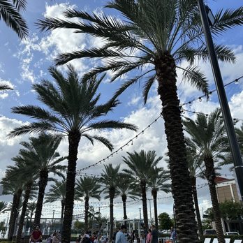 DANIA POINTE - Updated October 2025 - 218 Photos & 58 Reviews - 139 S ...