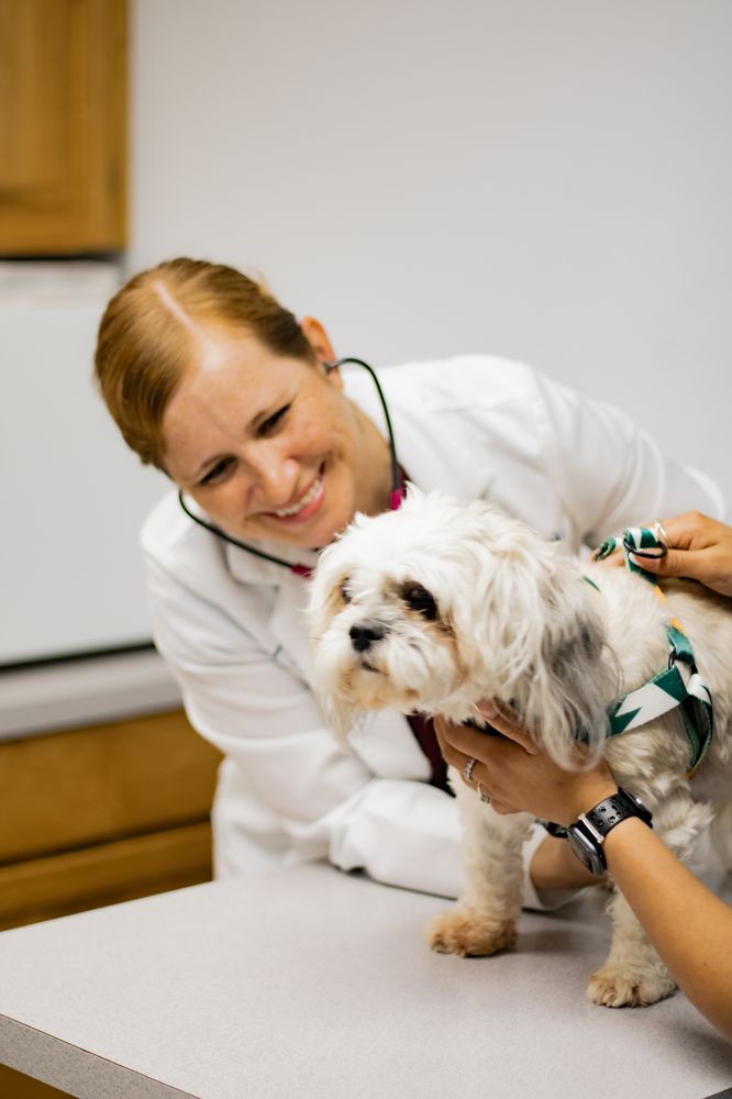 CONOVER VETERINARY HOSPITAL - Updated October 2025 - 18 Reviews - 918 S ...