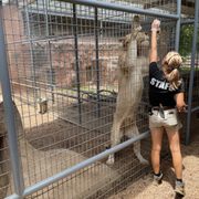 ANIMAL WORLD & SNAKE FARM - 577 Photos & 245 Reviews - Zoos - 5640 Ih ...