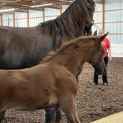 CROSS CREEK STABLES - 65 Photos - 2200 NW 192nd St, Edmond, OK - Yelp