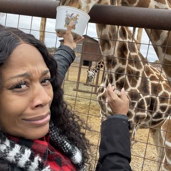 LAZY 5 RANCH - Updated July 2025 - 862 Photos & 297 Reviews - 15100 ...