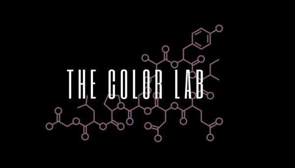 THE COLOR LAB - 10000 Emmett F Lowry Expy, Texas City, Texas - Hair ...