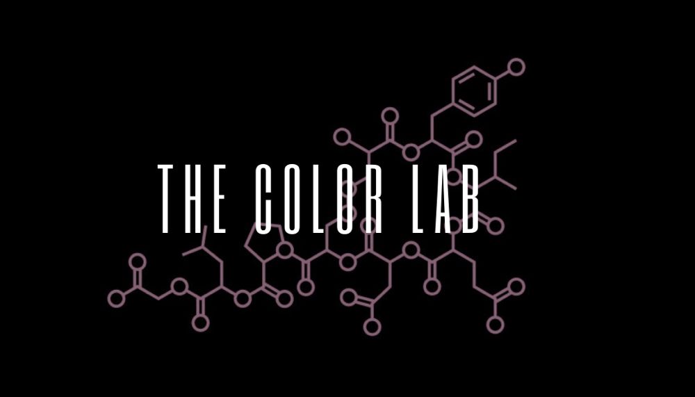 THE COLOR LAB - 10000 Emmett F Lowry Expy, Texas City, Texas - Hair ...