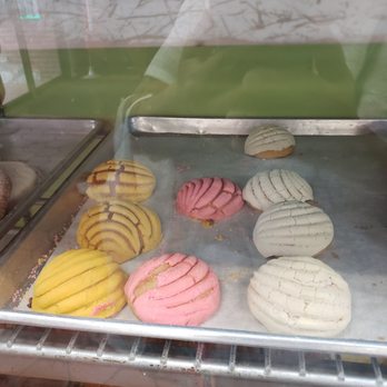EL NOPAL BAKERY - Updated November 2025 - 61 Photos & 25 Reviews - 3648 ...