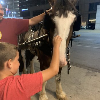 ST LOUIS CARRIAGE COMPANY - Updated September 2025 - 39 Photos & 52 ...