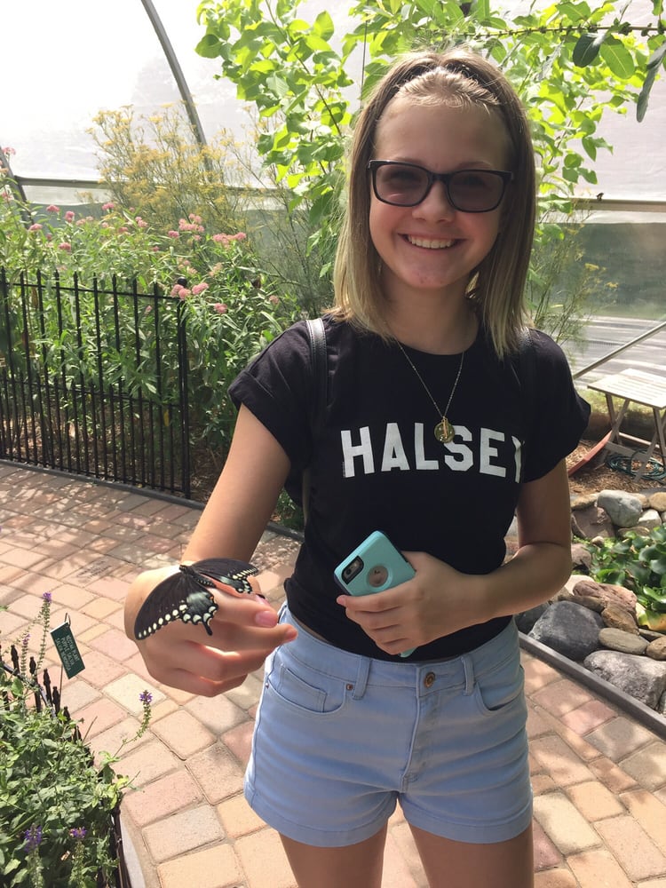 BRENDA’S BUTTERFLY HABITAT - Updated October 2025 - 6414 Merriman ...