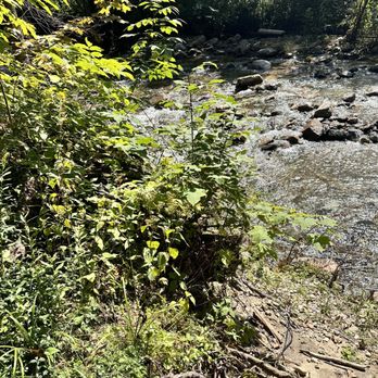 THE TILLERMAN - Updated February 2025 - 46 Photos & 18 Reviews - 1868 N ...