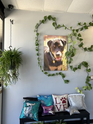 BARK OF THE TOWN - Updated January 2026 - 46 Photos & 23 Reviews - 5300 ...