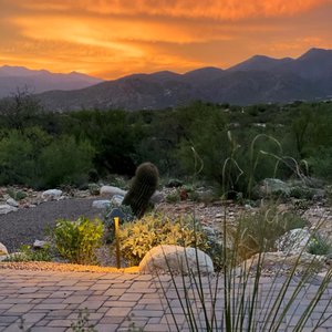 ARIZONA PROSCAPES - Updated July 2024 - 28 Photos - Tucson, Arizona ...