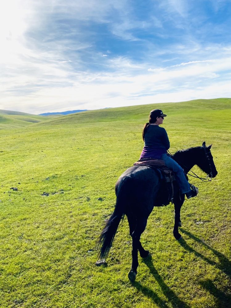 LONE TREE RANCH - Updated September 2025 - 37651 S Bird Rd, Tracy ...