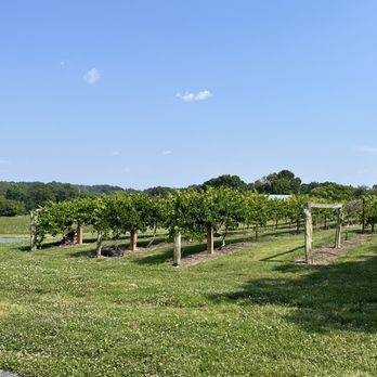 LOPING CROW DISTILLERY - Updated October 2025 - 21 Photos - 24030 Endy ...