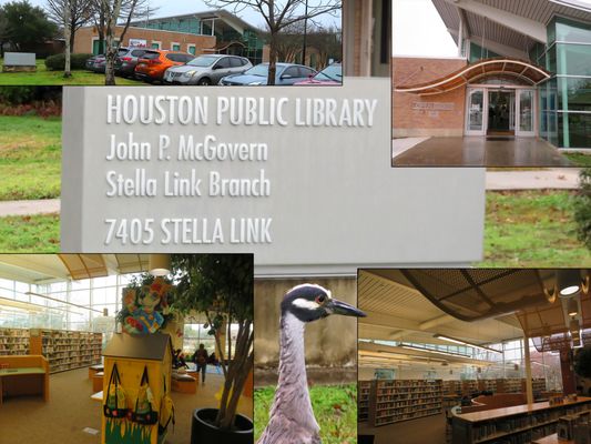 MCGOVERN STELLA LINK NEIGHBORHOOD LIBRARY - Updated November 2025 - 75 ...