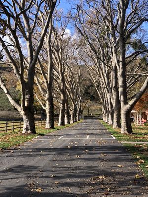 ALISAL RANCH - 240 Photos & 126 Reviews - 1054 Alisal Rd, Solvang ...