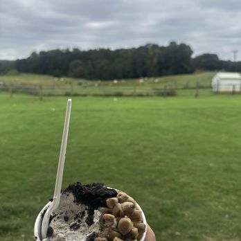 HOWLING COW DAIRY EDUCATION CENTER AND CREAMERY - Updated April 2025 ...