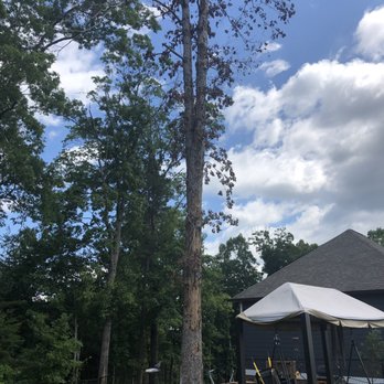 TREE WORX - Updated November 2025 - 21 Photos - 2609 Belle Arbor Ave ...
