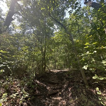 ERWIN PARK - Updated January 2026 - 91 Photos & 16 Reviews - 4300 ...