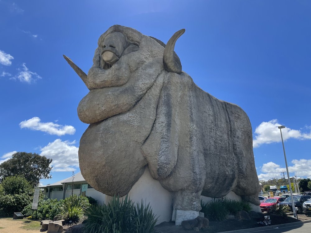 THE BIG MERINO COMPLEX - Updated July 2025 - 14 Photos - 1 Sowerby St ...