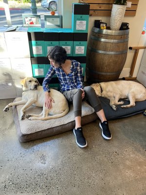 TRECINI WINERY - 94 Photos & 96 Reviews - 684 7th St, Santa Rosa, CA - Yelp