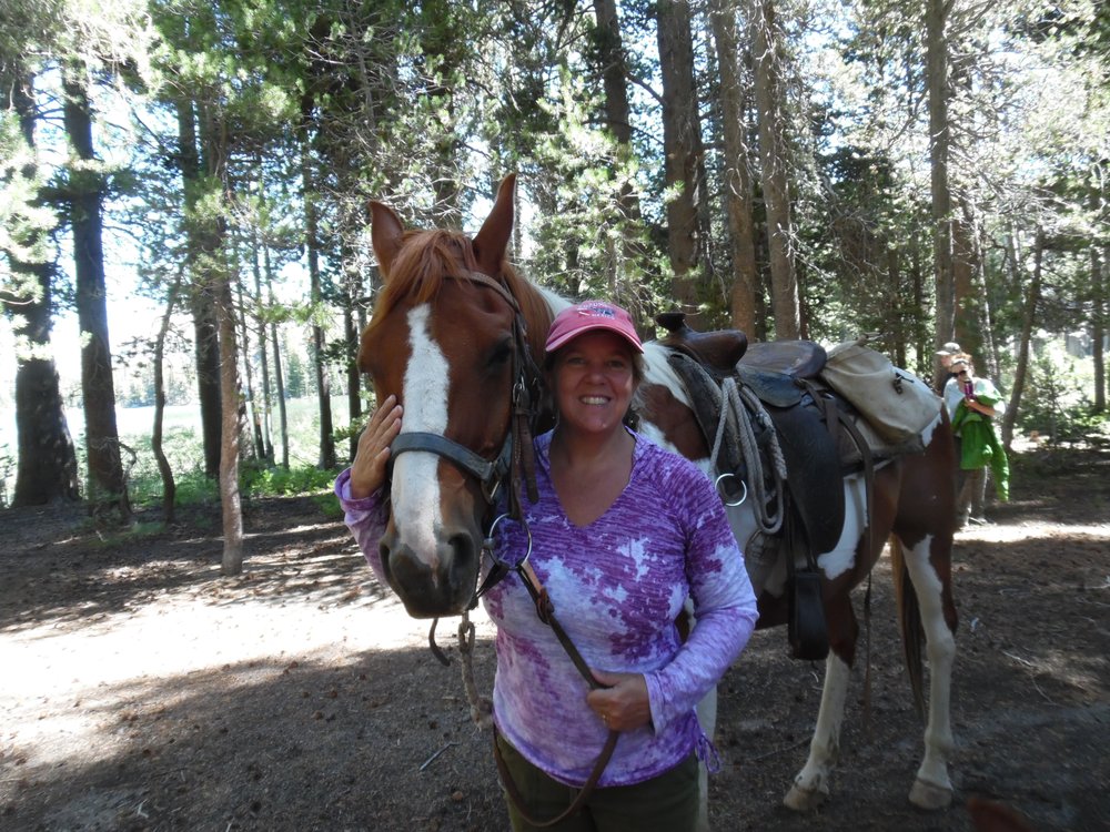 SHANI THOMPSON, CPA - Updated July 2025 - South Lake Tahoe, California ...