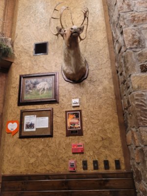 TEXAS MUSIC CITY GRILL & SMOKEHOUSE-TYLER - Updated June 2025 - 52 ...