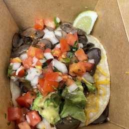 XOLO - Updated October 2025 - 551 Photos & 944 Reviews - 1916 Telegraph ...