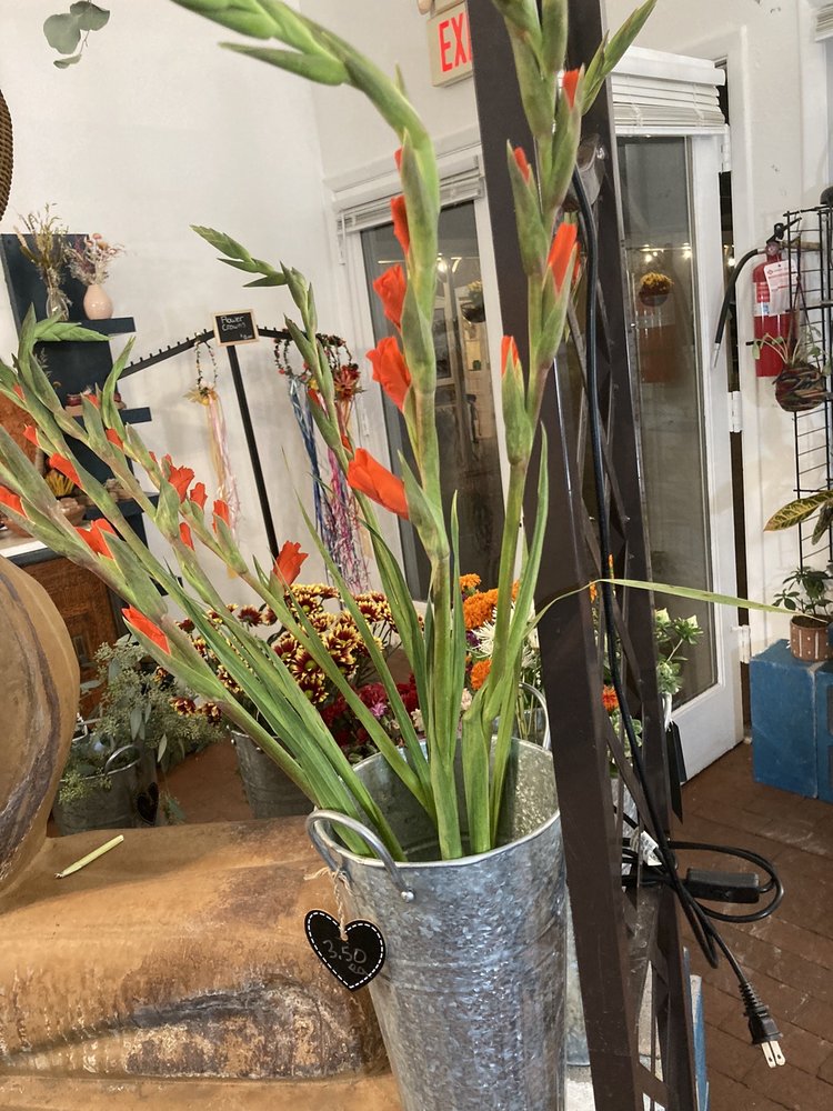 THE TURQUOISE TREE FLOWER SHOP - Updated August 2025 - Request ...