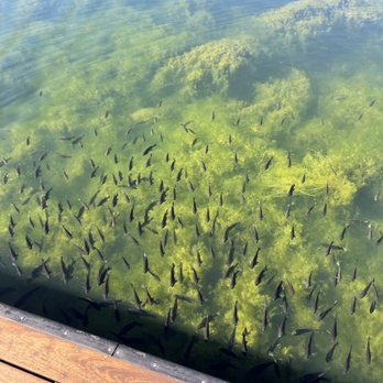 LAKESIDE COFFEE BAR - Updated December 2024 - 194 Photos & 67 Reviews ...