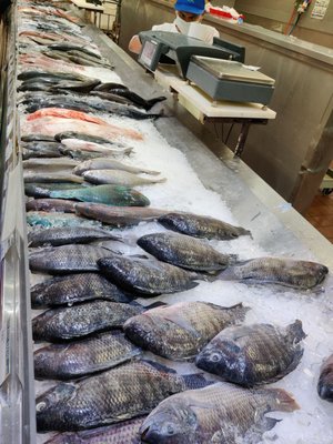 99 RANCH MARKET - 620 Photos & 366 Reviews - 1005 Blalock Rd, Houston ...