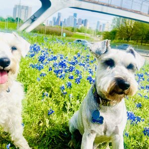 STUDE PARK - 32 Photos & 26 Reviews - 1031 Stude St, Houston, Texas ...