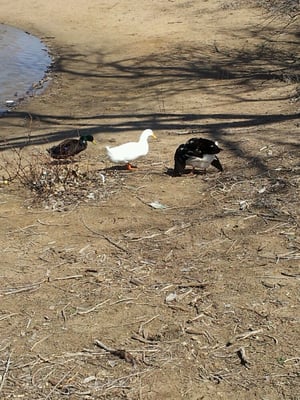 SEDGWICK COUNTY PARK - Updated December 2024 - 6300 W 13th St N ...