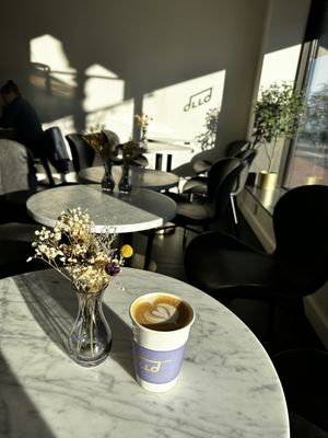 CAFFE OLLO - Updated October 2025 - 32 Photos & 33 Reviews - 241 Moody ...