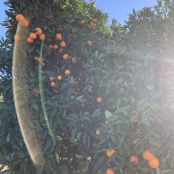 GLESS RANCH - Updated September 2025 - 390 Photos & 195 Reviews - 19985 ...