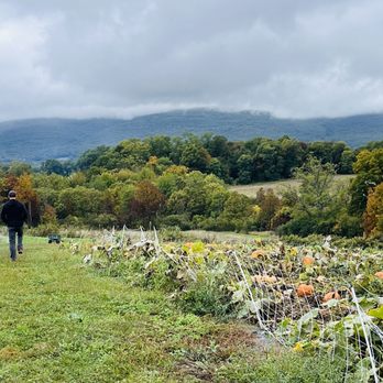 JONES FARM & COUNTRY STORE - Updated March 2025 - 269 Photos & 179 ...