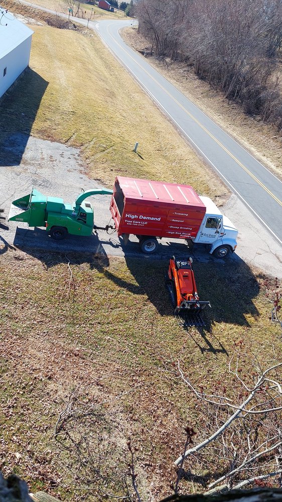 HIGH DEMAND TREE CARE - Updated September 2024 - Request a Quote - La ...