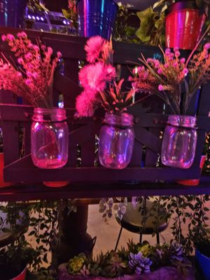 VIVA TORO - Updated January 2026 - 255 Photos & 134 Reviews - 987 Grand ...