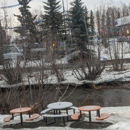 ARCTIC ROADRUNNER - Updated June 2025 - 216 Photos & 237 Reviews - 5300 ...