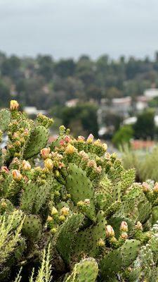 DIAMOND BAR CENTER - Updated January 2026 - 194 Photos & 69 Reviews ...