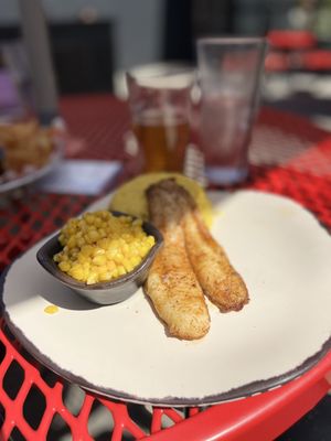 NATIVE BREWS TAP & GRILL - Updated November 2024 - 235 Photos & 298 ...