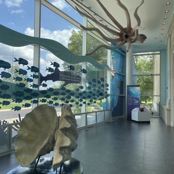 DELAWARE MUSEUM OF NATURE AND SCIENCE - Updated January 2026 - 137 ...