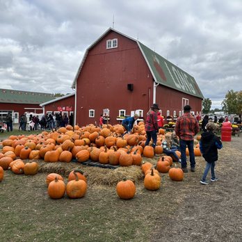 LONG FAMILY ORCHARD & FARM - Updated October 2025 - 135 Photos & 127 ...