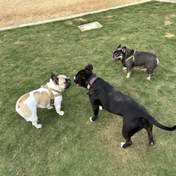 VILA BORBA PARK - Updated December 2025 - 186 Photos & 84 Reviews ...