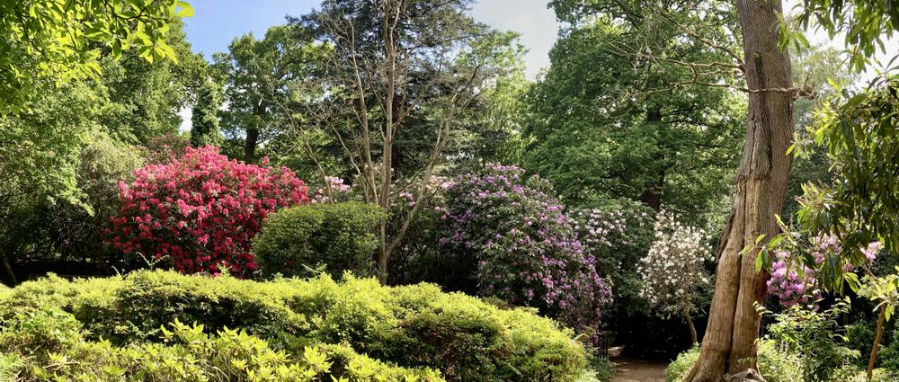 CANNIZARO PARK - 60 Photos - Wimbledon, London, United Kingdom - Parks ...